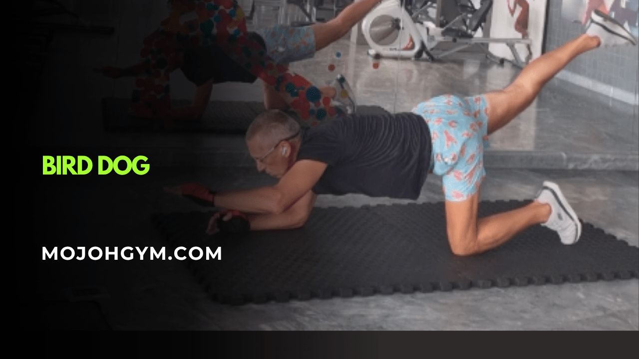 Mind-Blowing Bird Dog Pilates: A Must-Try Exercise For Gym Goers