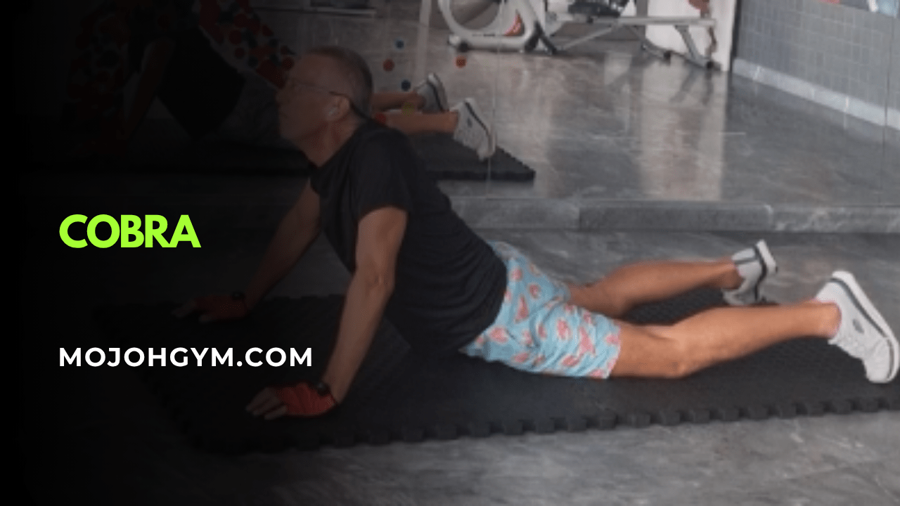 Cobra Back Stretch: Unlock Intense Flexibility Now